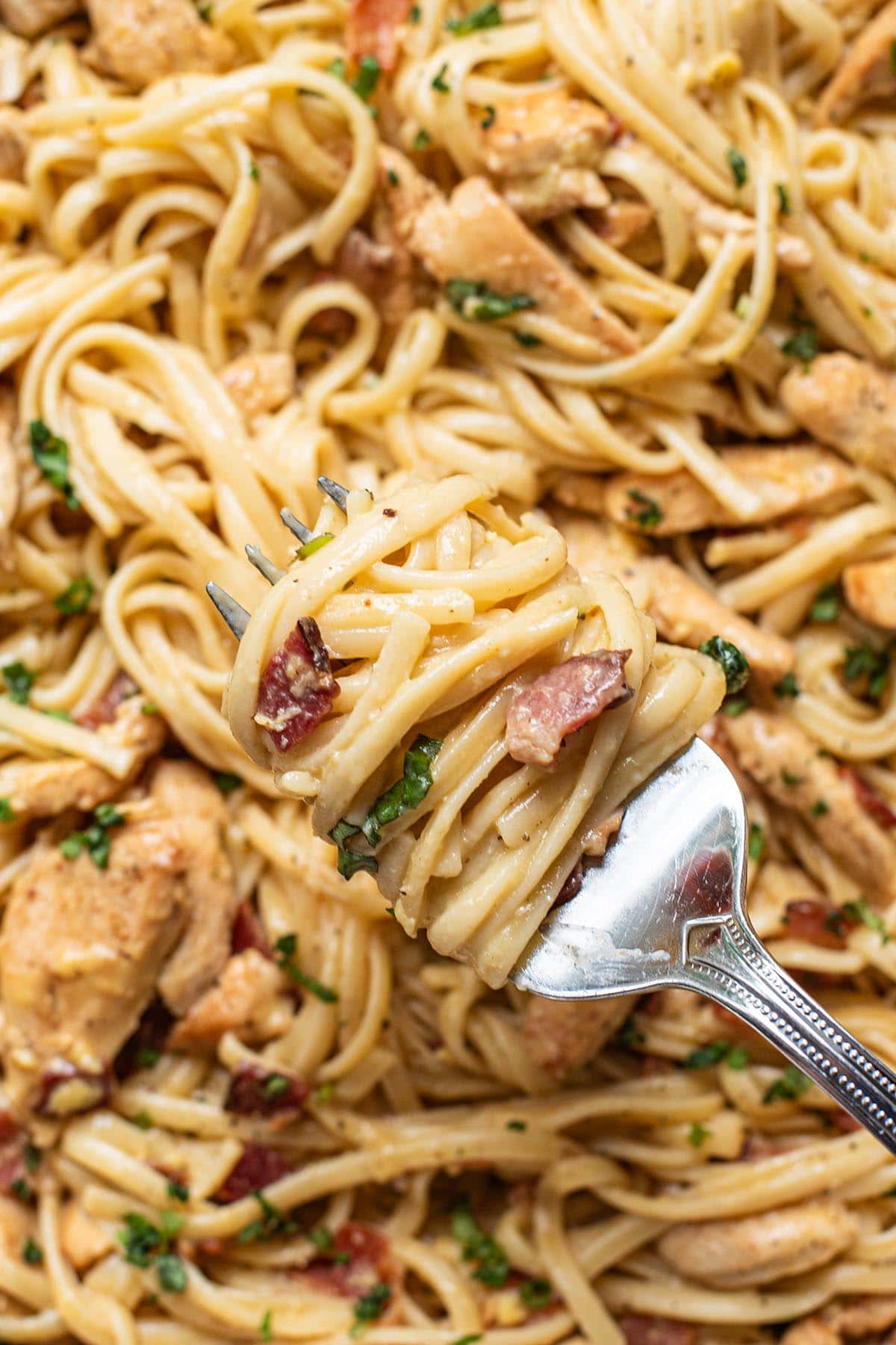 Creamy Chicken Carbonara - Kitchen Swagger
